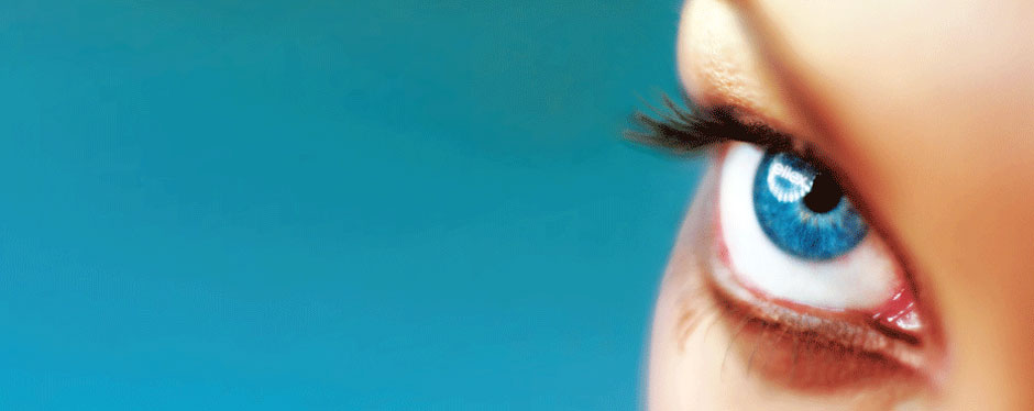 エレックス株式会社